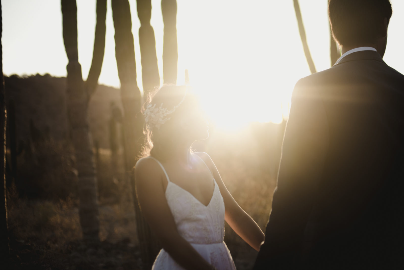 ¿Qué es una elopement wedding? La boda más íntima e inolvidable - TWB ...