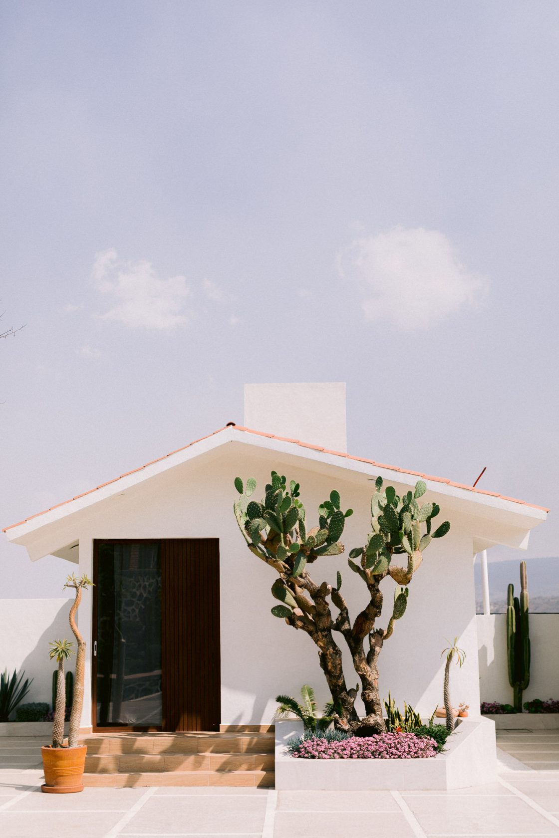 COPILLI: Donde convergen tradición y modernidad - TWB Blog | Todo para ...