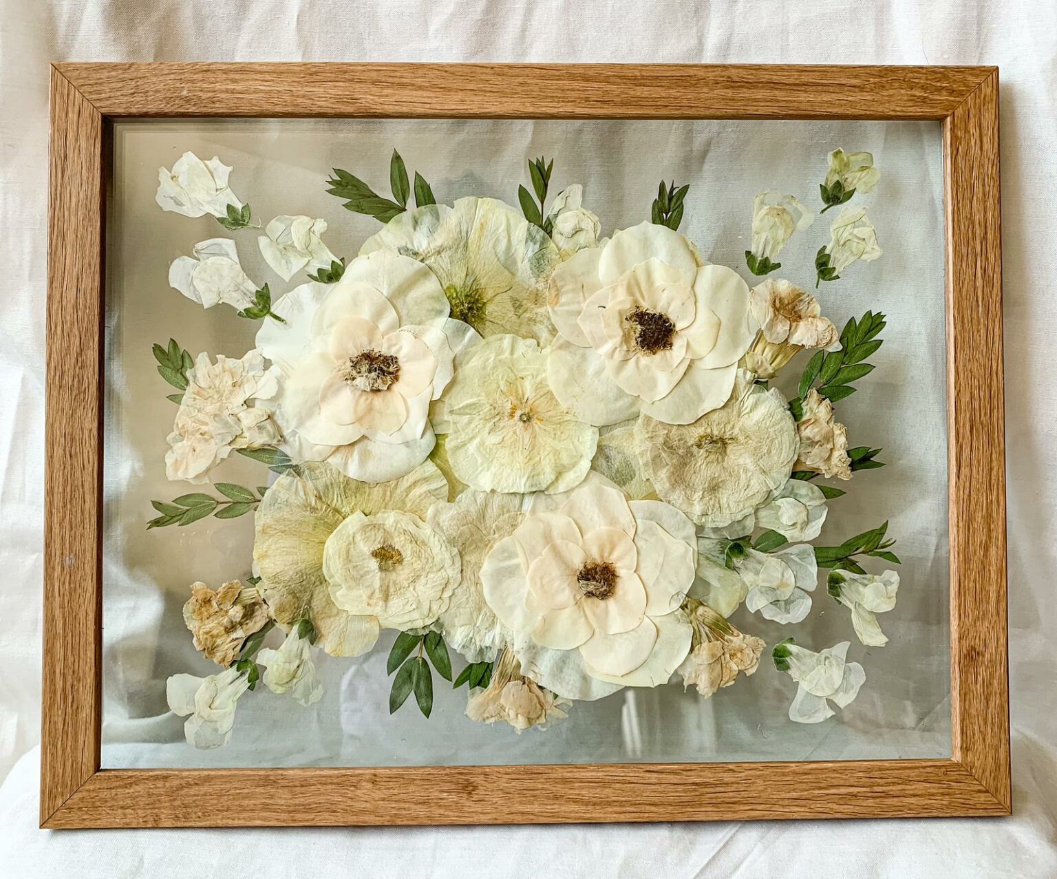 Inmortalizando Momentos Especiales: El Arte de Apapacho en la ...